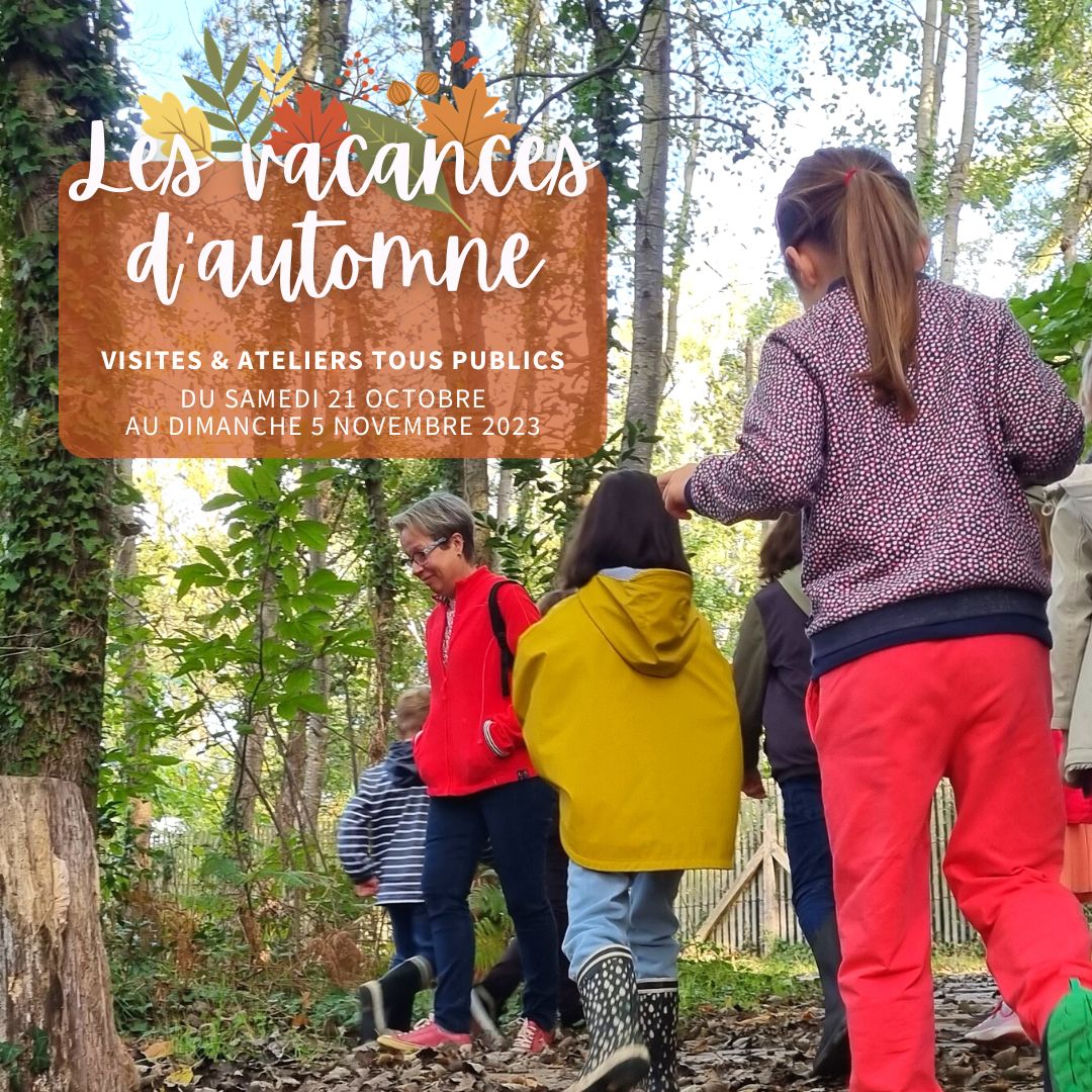 Vacances automne 2023 | sorties familles & ateliers enfants